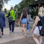 Sydney Movie Walking Tour - Practical Details and What to Expect