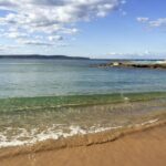 Sydney: Northern Beaches and Ku-ring-gai National Park Tour - Who Will Love This Tour?