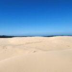 Sydney Port stephens - The Practicalities: What to Expect and How to Prepare