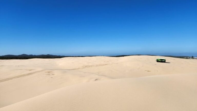 Sydney Port stephens - The Practicalities: What to Expect and How to Prepare