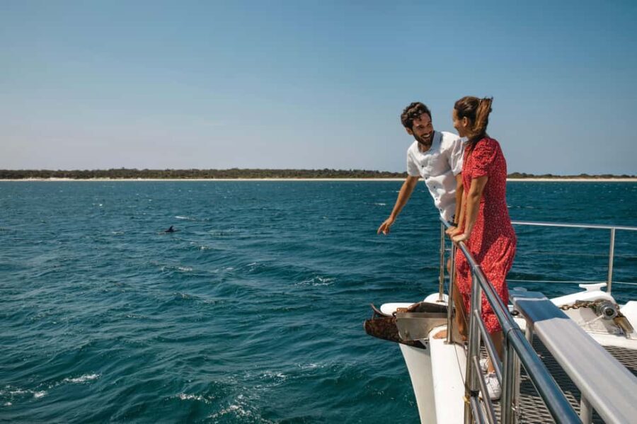 Sydney: Port Stephens Dolphin Watching & Sand Dunes Day Tour - What Makes This Tour Stand Out?