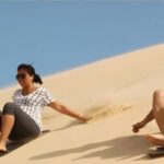Sydney: Port Stephens Private Day Tour - What to Expect from Your Day in Port Stephens
