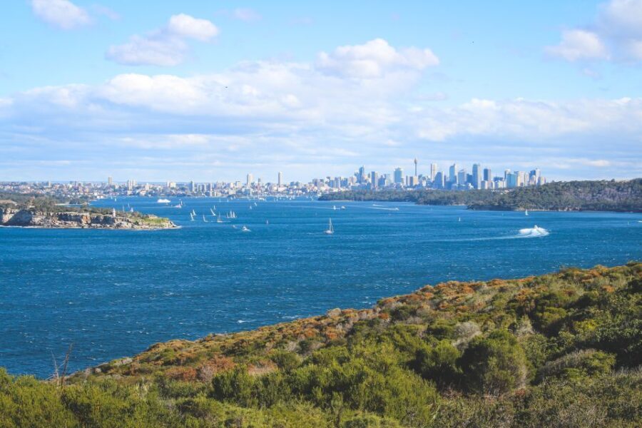 Sydney: Private Half or Full-Day Sightseeing Tour - The Itinerary: Comprehensively Curated for You