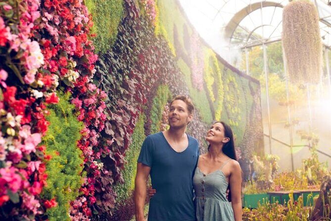 Sydney Private Tour - Pick up & Drop off - Who Will Love This Tour?