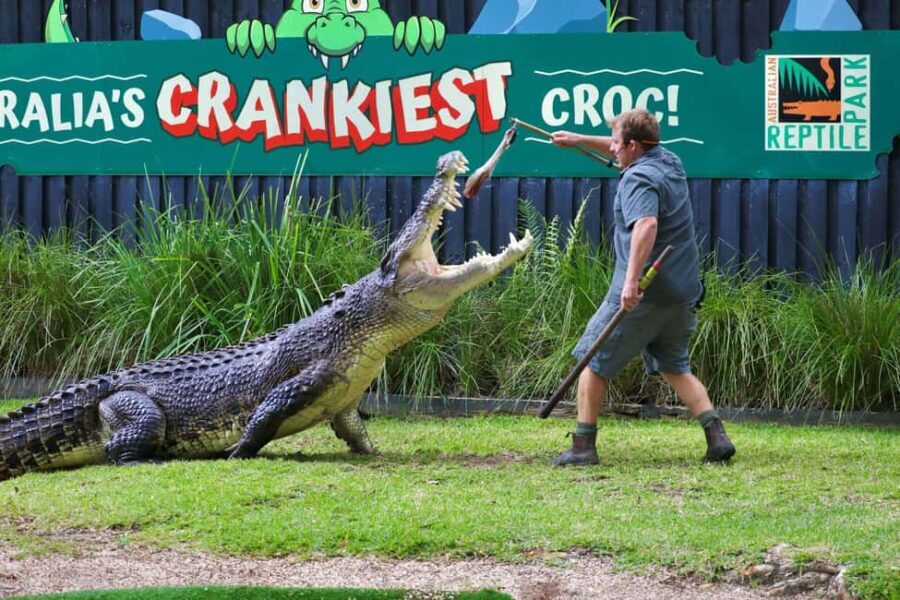 Sydney: Reptile Park and Avoca Beach Day Trip with Entry - A Detailed Breakdown of the Itinerary