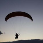 Sydney: Royal National Park private day tour - Is This Tour Worth It? Analyzing Value and Experience