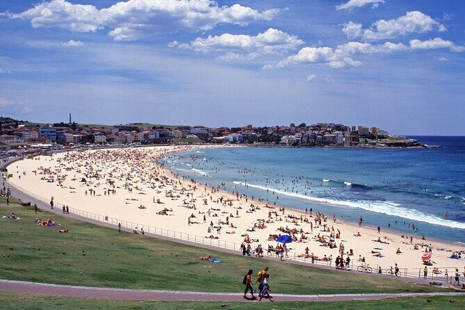 Sydney Shore Excursion: Half-Day Sydney City Highlights with Bondi Beach and Watsons Bay - FAQs