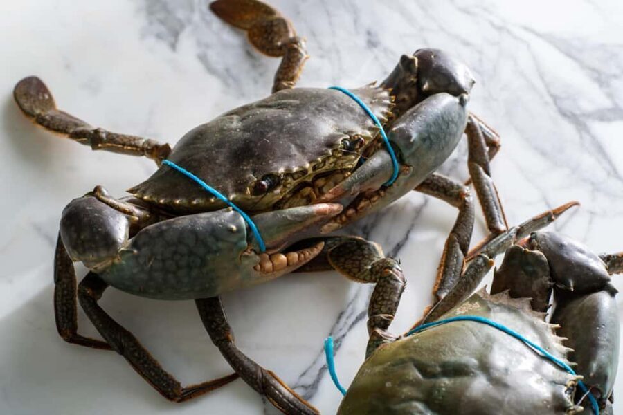 Sydney: Singapore Chilli Mud Crab Cooking Class - The Value of the Class