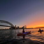 Sydney: Sunset Kayak Tour on Sydney Harbour - Key Points