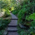 Sydney: Taronga to Balmoral hike with Picnic and painting - What’s Included & Practical Aspects