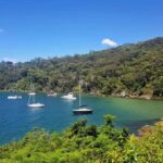 Sydney: Taronga to Balmoral Walk with picnic at Balmoral - Analyzing the Value and Practicalities