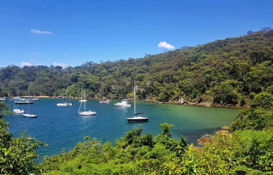 Sydney: Taronga to Balmoral Walk with picnic at Balmoral - Analyzing the Value and Practicalities