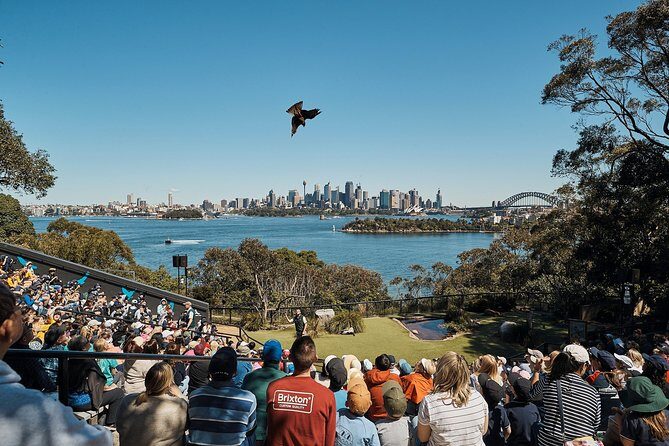 Sydney Taronga Zoo's Aussie Backyard Adventure Tour - Appreciating the Setting and Highlights