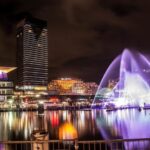 Sydney: Vivid Festival of Light Harbor Cruise with Dinner - What Makes This Tour Stand Out?