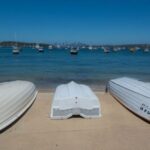 Sydney: Watsons Bay Walking Tour - What Makes This Tour Stand Out