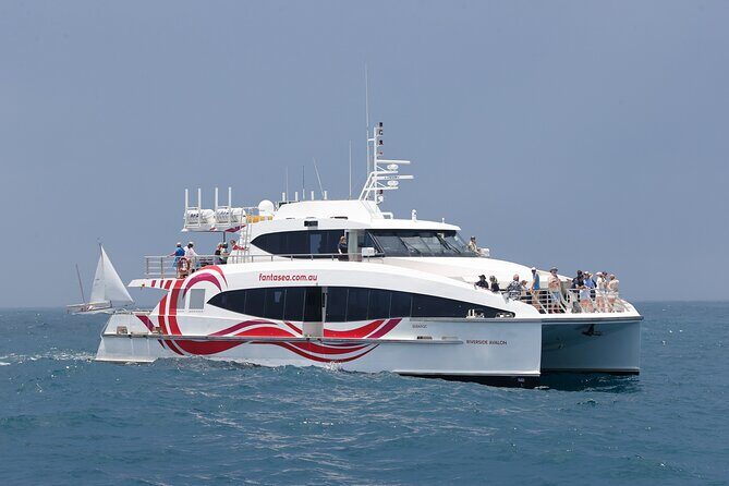 Sydney Whale Watching - 2.5hr Discovery Cruise - What’s Included and What’s Not