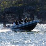 Sydney Whale Watching on Small RIB - The Itinerary Breakdown: What to Expect at Each Step