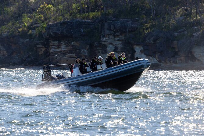 Sydney Whale Watching on Small RIB - The Itinerary Breakdown: What to Expect at Each Step