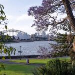 Sydney Your Way: Customizable Private Tour with Local Guide - A Deep Dive into the Itinerary