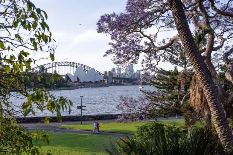 Sydney Your Way: Customizable Private Tour with Local Guide - A Deep Dive into the Itinerary