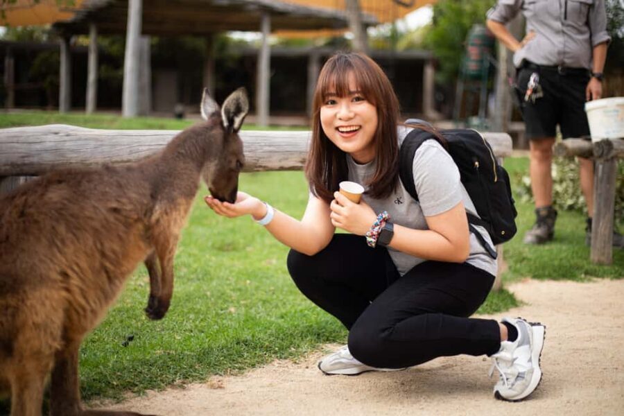 Sydney: Zoo, Blue Mountains and Scenic World Mandarin Tour - FAQs
