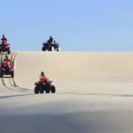 Sydney:Dolphin Watching and Sandboarding in Port Stephens - An Honest Look at the Tour Experience