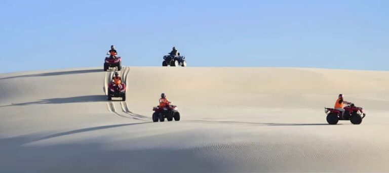 Sydney:Dolphin Watching and Sandboarding in Port Stephens - An Honest Look at the Tour Experience