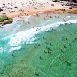 Sydney's Hidden Beach Tour - A Detailed Look at the Itinerary