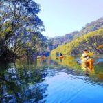 Sydney's Middle Harbour Sea Kayaking Eco Tour (Fully Guided) - What to Expect on the Day
