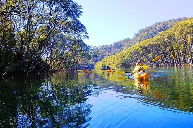 Sydney's Middle Harbour Sea Kayaking Eco Tour (Fully Guided) - What to Expect on the Day