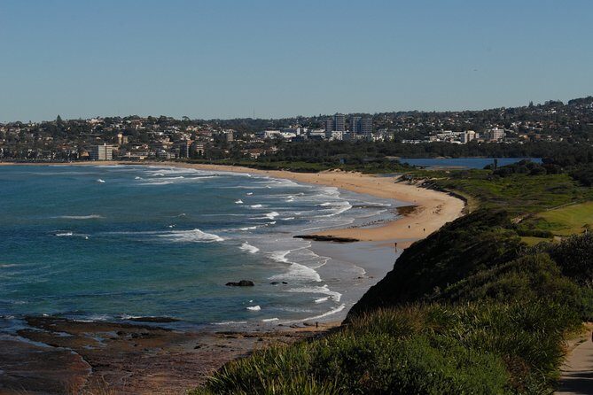 Sydney's Northern Beaches - Paradise in a city - Final Thoughts: Who Is This Tour Perfect For?