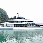 Symphony 5 Star Luxury Day Cruise from Hanoi by Expressway - Who Is This Tour Best For?