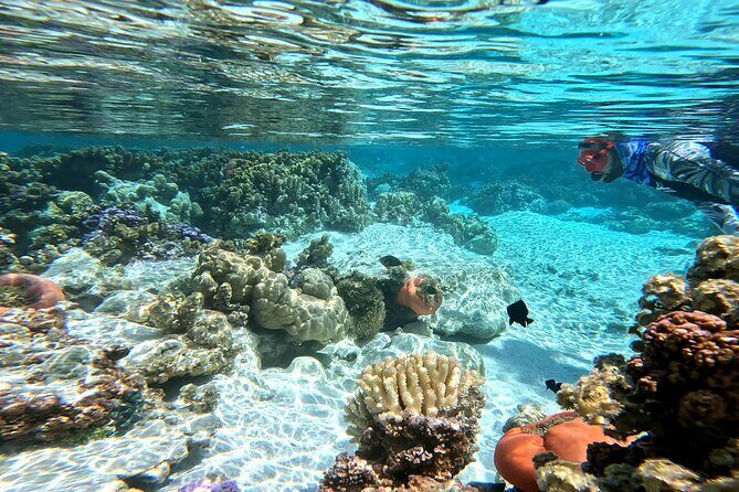 Tahaa Excursion in Electric Paddle Snorkeling Coral Garden - The Small Group Experience and Personal Touch