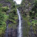 Tahiti Fautaua Valley and Big Waterfall Private Hiking Tour - The Itinerary in Detail