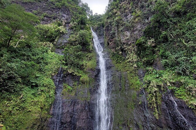 Tahiti Fautaua Valley and Big Waterfall Private Hiking Tour - The Itinerary in Detail