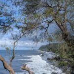 Tahiti: Northeast Coast Waterfalls&Viewpoints Half Day Tour - The Experience from the Traveler’s Perspective