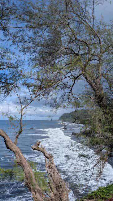 Tahiti: Northeast Coast Waterfalls&Viewpoints Half Day Tour - The Experience from the Traveler’s Perspective