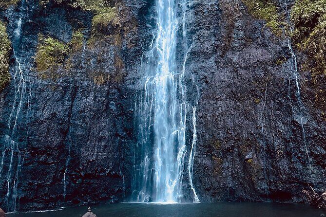 Tahiti, Private Day Tour, An A la Carte Experience - Whats Included & Whats Not