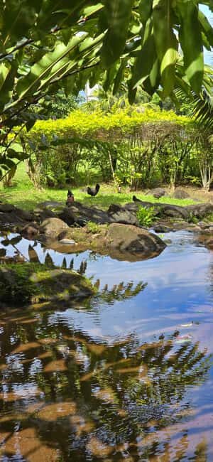 Tahiti: Private Half Day Culture and Nature Highlights Tour - FAQ
