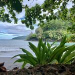 Tahiti: Tour of the East or West Coast (Half Day) - Exploring the East Coast