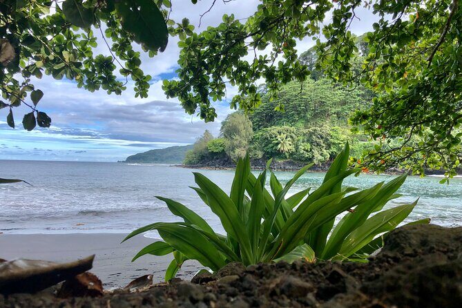 Tahiti: Tour of the East or West Coast (Half Day) - Exploring the East Coast