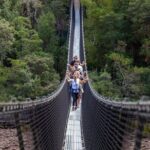 Tahune Airwalk & Hastings Cave Active Day Tour from Hobart - A Full-Day Journey into Tasmania’s Natural Beauty