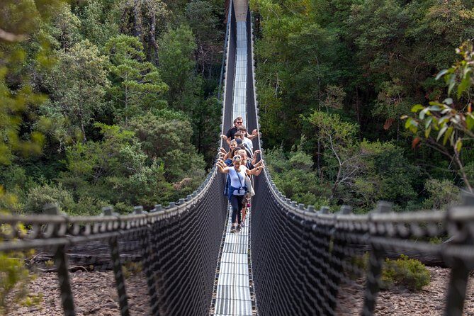 Tahune Airwalk & Hastings Cave Active Day Tour from Hobart - A Full-Day Journey into Tasmania’s Natural Beauty