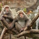 Taipei Private Car Charter Tour - The Sum Up