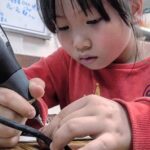 Taiwan Green Island Hermit Crab House Agency Experience Activities - Who Should Consider This Tour?