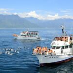 Taiwan Hualien Whale Watching Dolphin - Final Thoughts