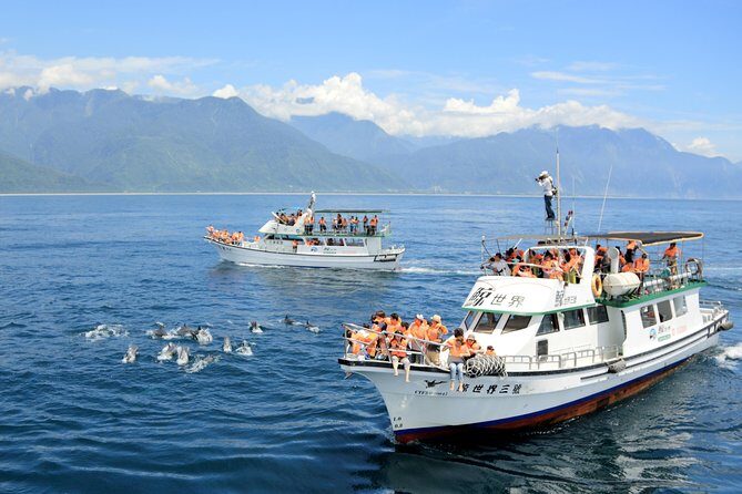 Taiwan Hualien Whale Watching Dolphin - Final Thoughts
