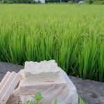 Taiwan Local Tofu DIY Experience in Daxi - A Closer Look at the Tour Itinerary