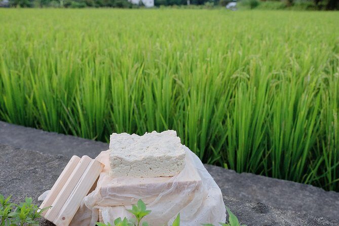 Taiwan Local Tofu DIY Experience in Daxi - A Closer Look at the Tour Itinerary