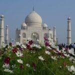 Taj Mahal tour with Elephant and Bear conservation center from Delhi - Is This Tour Worth It?